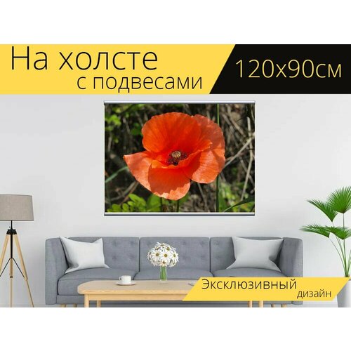 Картина на холсте "Мак, цветок мака, кукурузный мак" с подвесами 120х90 см. для интерьера