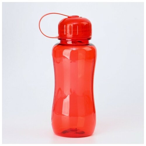 Бутылка для воды, 550 мл, 19 х 7 см, микс
