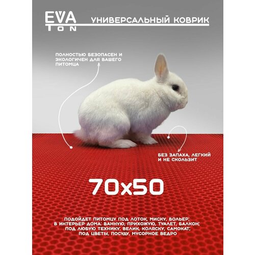 EVA Эва коврик универсальный без окантовки 70х50 см, для питомца, в ванную, прихожую, туалет, балкон. Ева Эво ковер Соты красный
