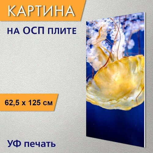 Вертикальная картина на ОСП "Медуза, морской, водный" 62x125 см. для интерьериа