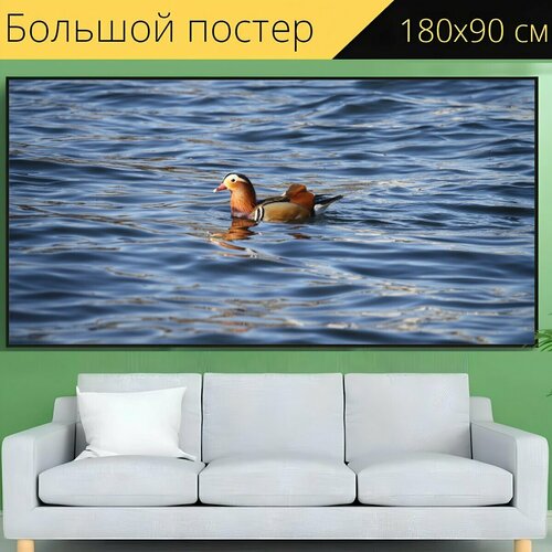 Большой постер "Вода, птица, дикая природа" 180 x 90 см. для интерьера