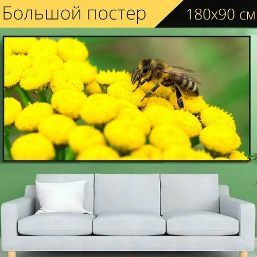 Большой постер "Насекомое, пчела, опыление" 180 x 90 см. для интерьера