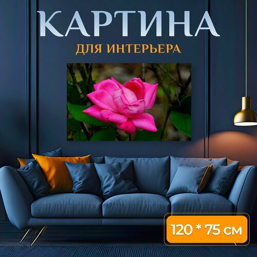 Картина на холсте "Дикий, роза, цветок" на подрамнике 120х75 см. для интерьера
