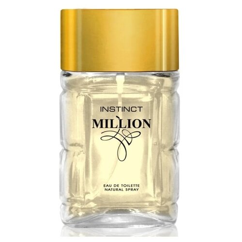 Andre Renoir туалетная вода Instinct Million, 100 мл, 270 г