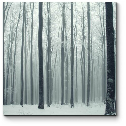 Модульная картина В зимнем лесу40x40