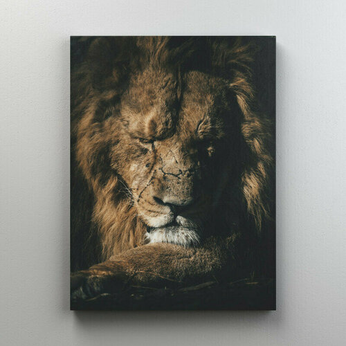 Интерьерная картина на холсте "Лев на отдыхе" размер 22x30 см