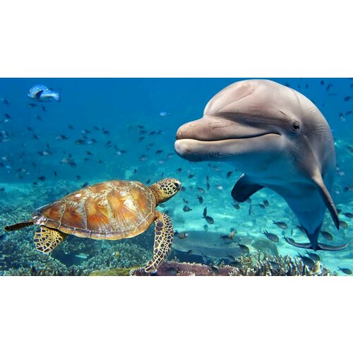 Картина на холсте 60x110 LinxOne "Вода рыбы черепаха дельфин" интерьерная для дома / на стену / на кухню / с подрамником
