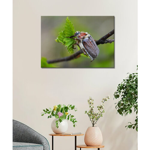 Картина - майский жук, жук, весна, крупный жук, природа, макро (3) 40х60