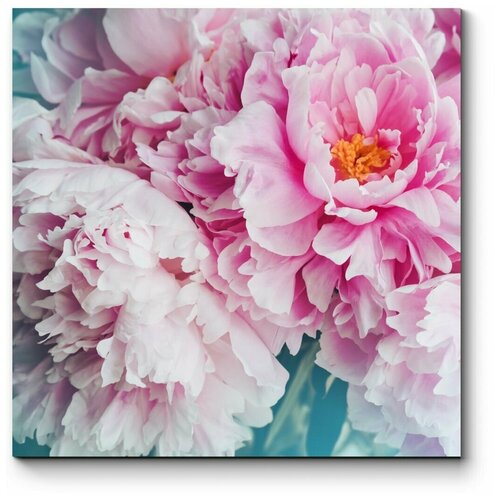 Модульная картина Нежно-розовые пионы 30x30
