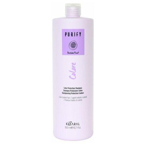 Шампунь для окрашенных волос на основе фруктовых кислот ежевики Purify-colore shampoo