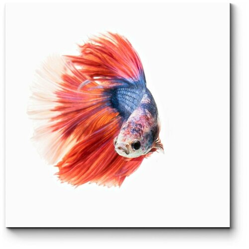 Модульная картина Красно-синяя рыбка 70x70