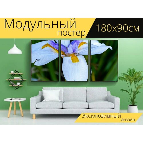 Модульный постер "Просто цветок, нежный, цвести" 180 x 90 см. для интерьера