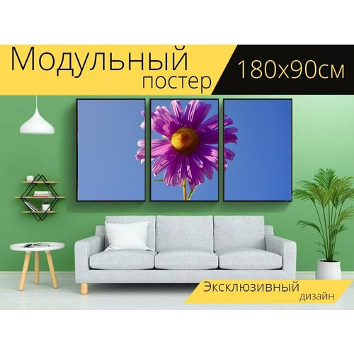 Модульный постер "Цветок, маргарита, цвет парма" 180 x 90 см. для интерьера