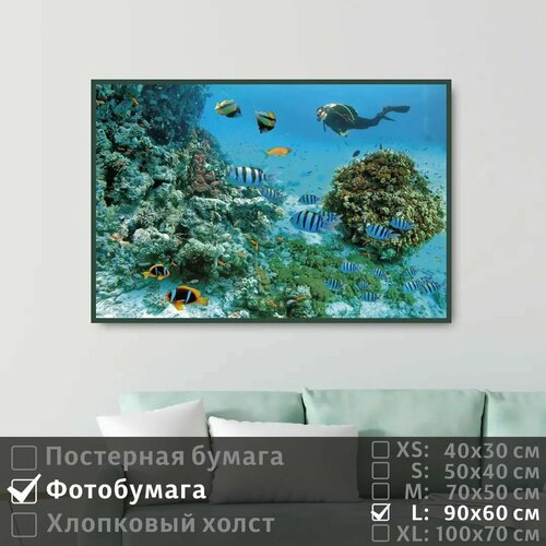 Постер на фотобумаге Морские Рыбы Под Водой С Дайвером 90х60 см ПолиЦентр