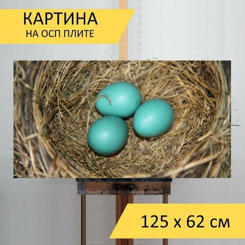 Картина на ОСП 125х62 см. "Яйца, робин, гнездо" горизонтальная, для интерьера, с креплениями