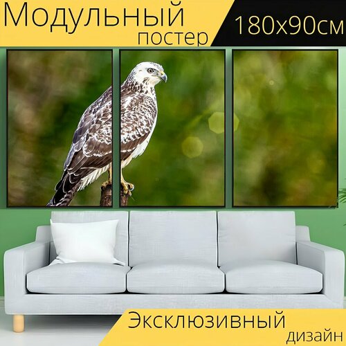 Модульный постер "Птица, канюк, хищная птица" 180 x 90 см. для интерьера