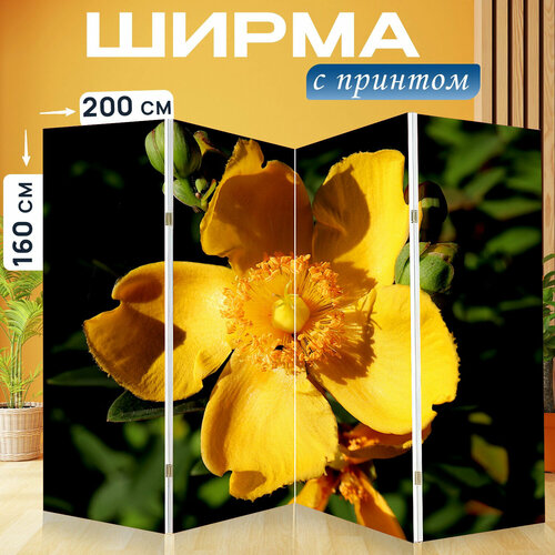 Ширма перегородка с принтом "Зверобой, цветы, растения" на холсте - 200x160 см. для зонирования, раскладная
