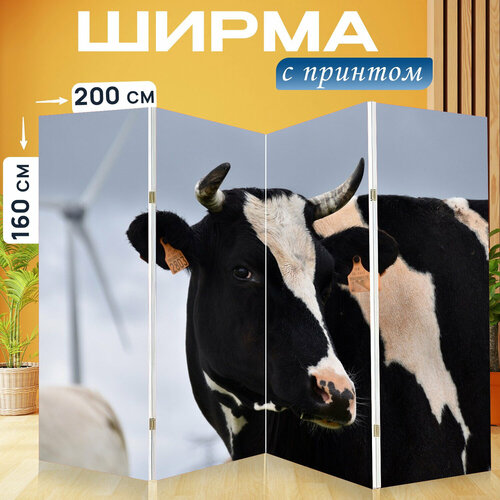 Ширма перегородка с принтом "Корова, гольштейн корова, цвет черный и белый" на холсте - 200x160 см. для зонирования, раскладная