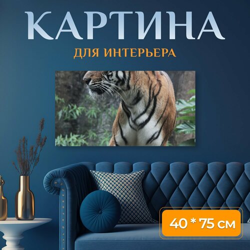 Картина на холсте "Индонезия, тигр, пантера" на подрамнике 75х40 см. для интерьера