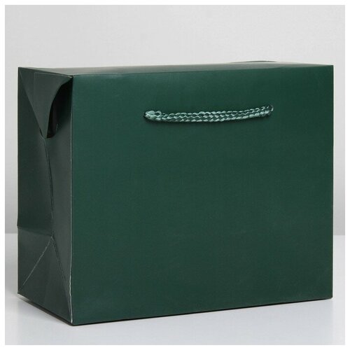 Пакет — коробка «Изумрудный», 23 × 18 × 11 см