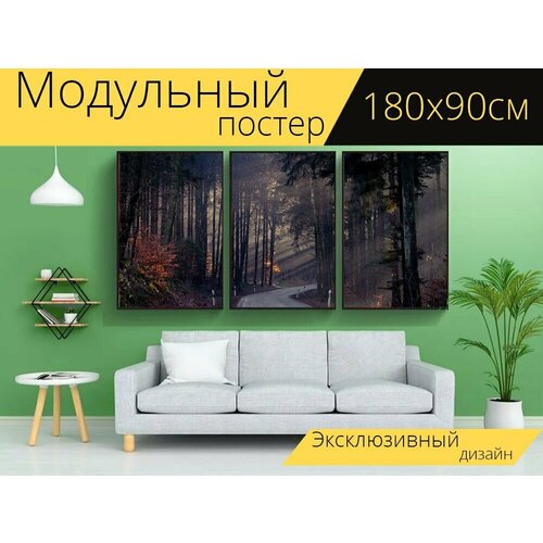 Модульный постер "Лес, осень, солнечные лучи" 180 x 90 см. для интерьера