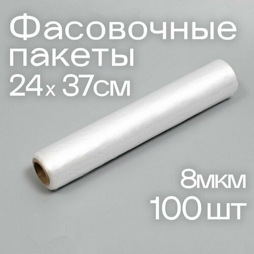 Набор пакетов фасовочных, на втулке, 24 x 37 см, 8 мкм, 100 шт.