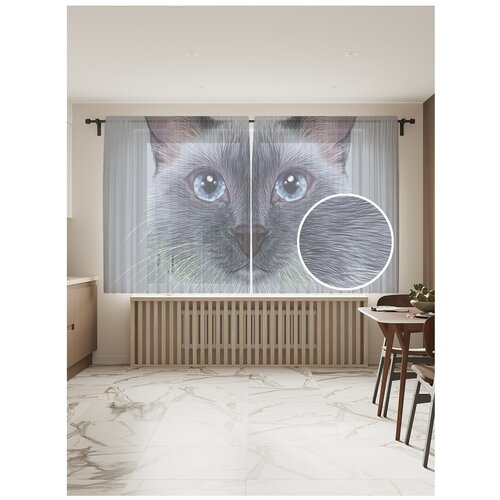 Тюль для кухни и спальни JoyArty "Серая кошка", 2 полотна со шторной лентой шириной по 145 см, высота 180 см.