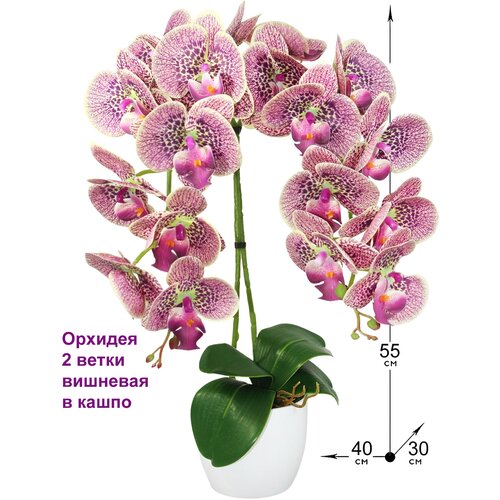 Искусственная Орхидея 2 ветки вишневая в кашпо 55см от ФитоПарк