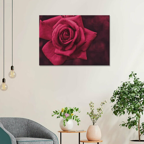 Интерьерная картина на холсте - роза 20х30