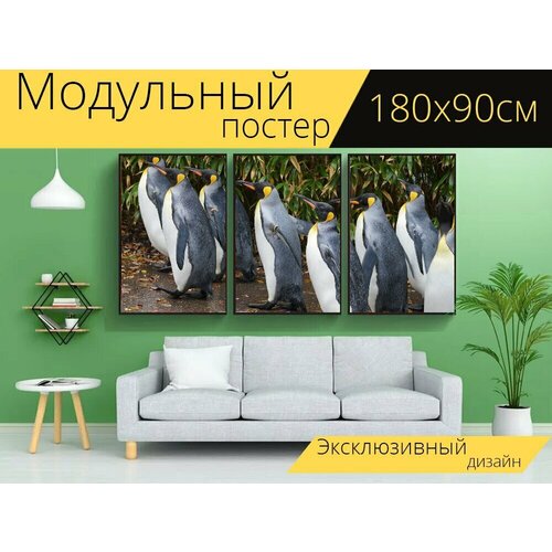 Модульный постер "Королевский пингвин, зоопарк, ходить" 180 x 90 см. для интерьера