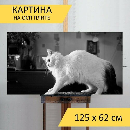 Картина на ОСП 125х62 см. "Кошка, котенок, кошачий" горизонтальная, для интерьера, с креплениями