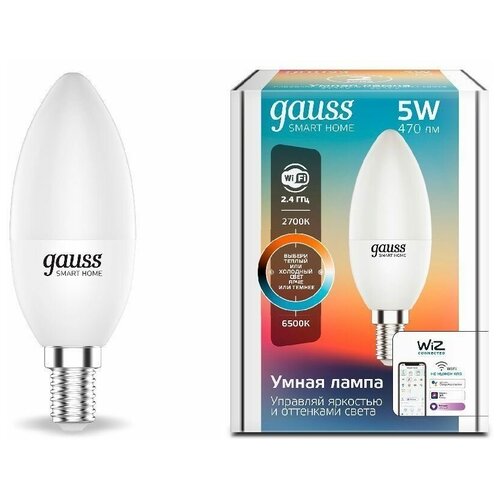 Лампа светодиодная gauss Smart Home 1110112, E14, C37, 5 Вт, 6500 К