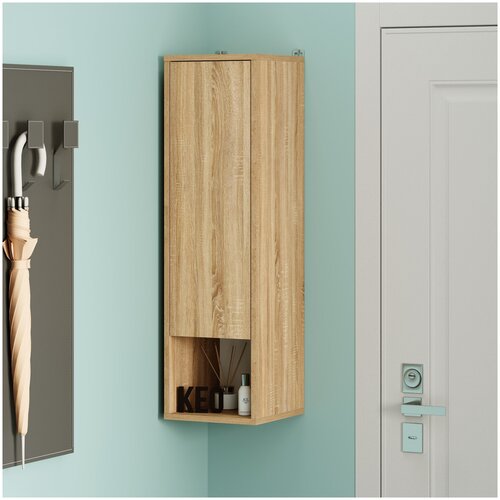 Шкаф пенал навесной, напольный с полками и дверцей для кухни прихожей спальни Кео СТМ-610 сонома