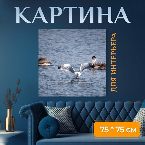 Картина на холсте "Чайка, пеликаны, океан" на подрамнике 75х75 см. для интерьера