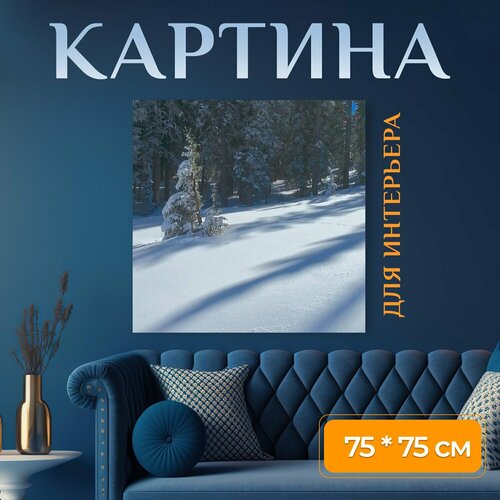 Картина на холсте "Снег, тени, деревья" на подрамнике 75х75 см. для интерьера