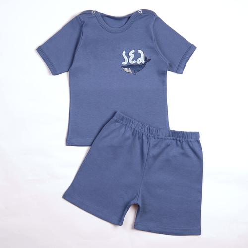 Комплект одежды Совенок Дона, размер 48-74, синий