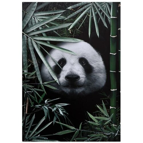 Topposters Картина на холсте "Панда в листьях" 50х70 см
