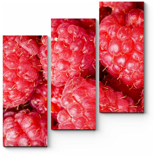 Модульная картина Крупные ягоды малины 70x75