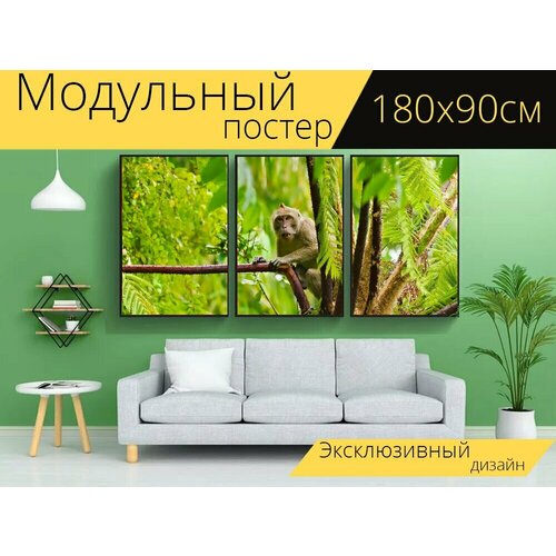 Модульный постер "Обезьяна, природа, горилла" 180 x 90 см. для интерьера