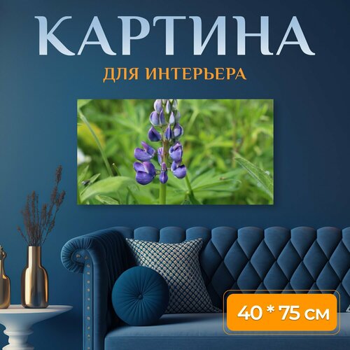 Картина на холсте "Люпин, фиолетовый, цветок" на подрамнике 75х40 см. для интерьера