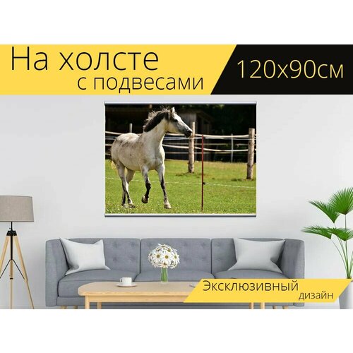 Картина на холсте "Плесень, лошадь, любовь к животным" с подвесами 120х90 см. для интерьера