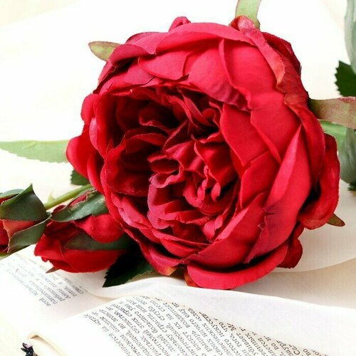 Цветы искусственные 'Роза Трио' 10х65 см бордовый