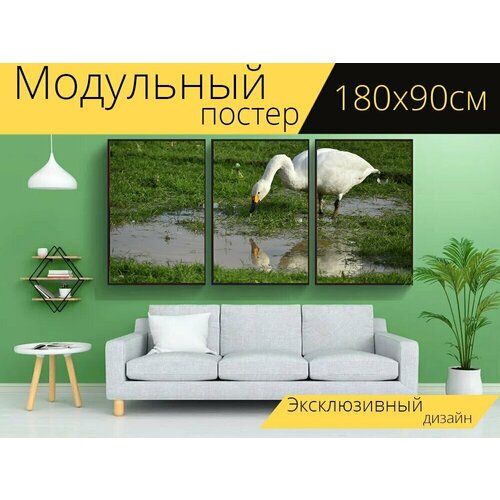 Модульный постер "Животное, заливное поле, лужа" 180 x 90 см. для интерьера