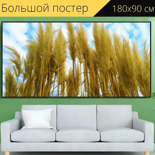 Большой постер "Тростник, трава, природа" 180 x 90 см. для интерьера