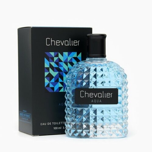 TODAY PARFUM Туалетная вода мужская Chevalier Aqua, 100 мл (по мотивам Versache Eau Fraishe)