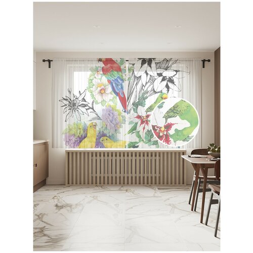 Тюль для кухни и спальни JoyArty "Цветные попугаи", 2 полотна со шторной лентой, 145x180 см.