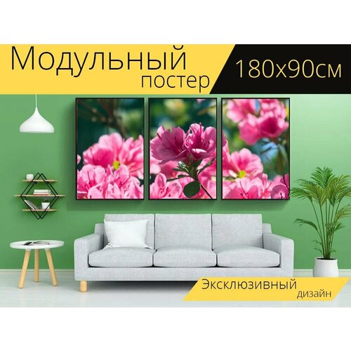 Модульный постер "Азалии в озаркс, расцветает, азалия" 180 x 90 см. для интерьера