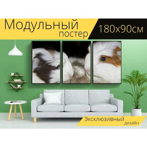 Модульный постер "Морские свинки, домашние питомцы, животные" 180 x 90 см. для интерьера