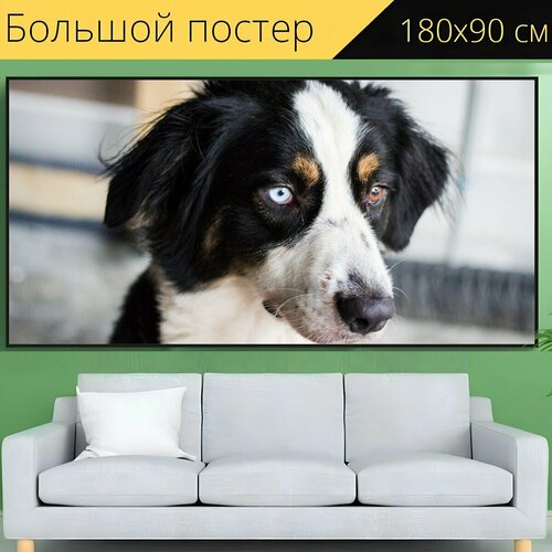 Большой постер "Собака, домашний питомец, животное" 180 x 90 см. для интерьера
