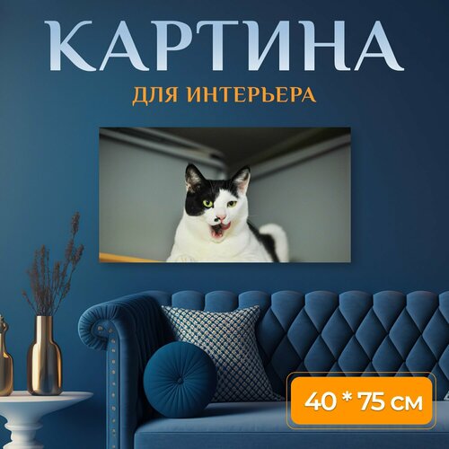 Картина на холсте "Кошка, очки простые, животное" на подрамнике 75х40 см. для интерьера